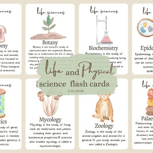 Science Flash Cards - Etsy