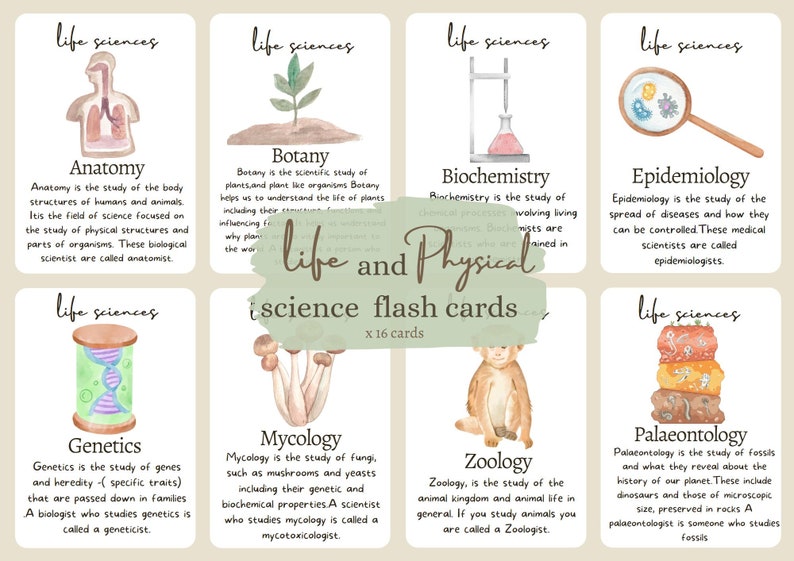 Science Flash Cards - Etsy