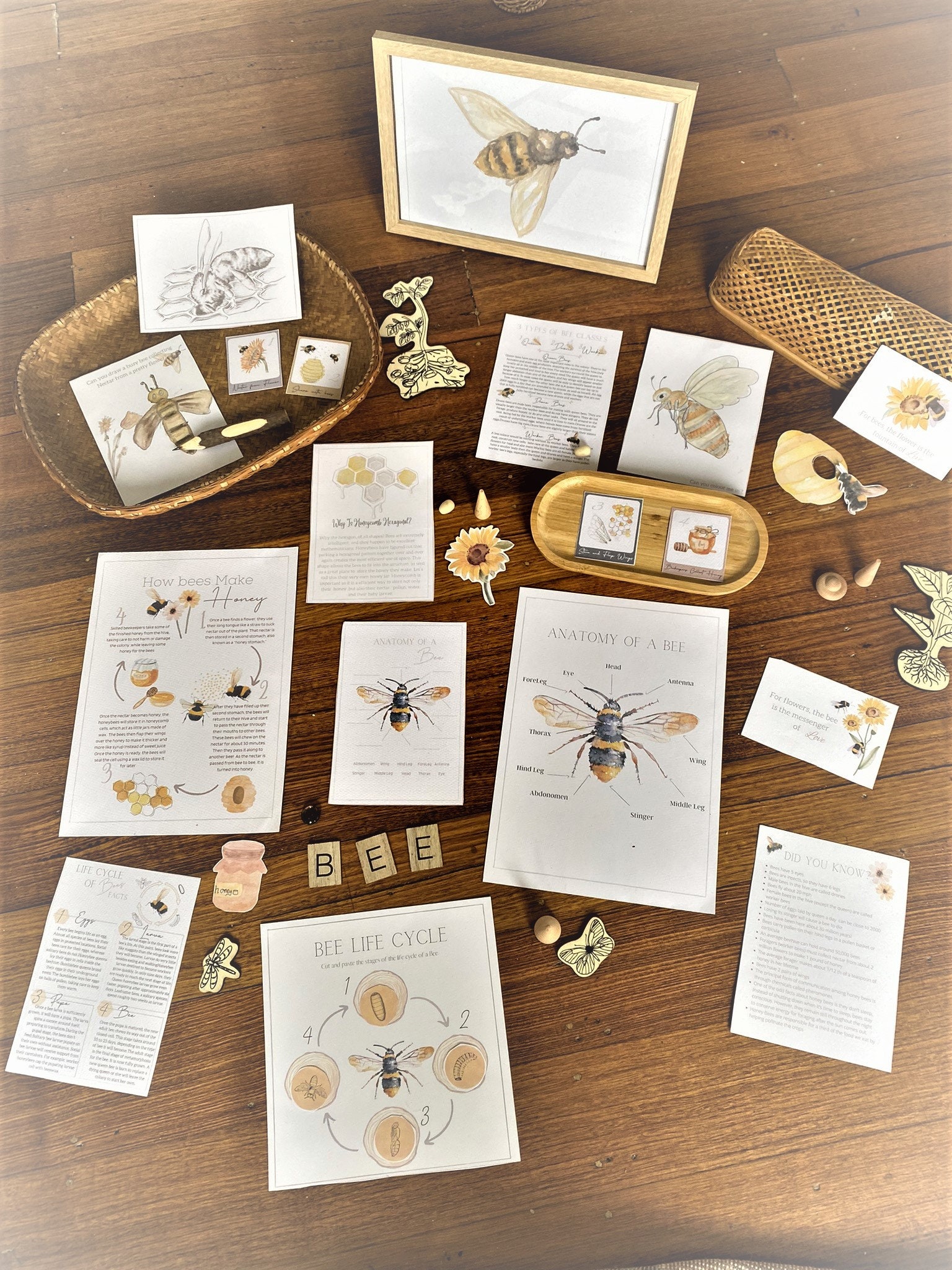 Mini Nature BEE UNIT - Etsy