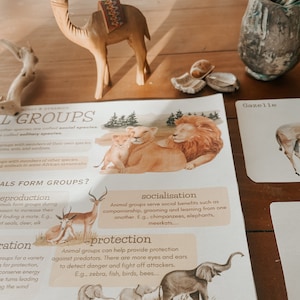 Animal Classification Mini Study Unit - Etsy