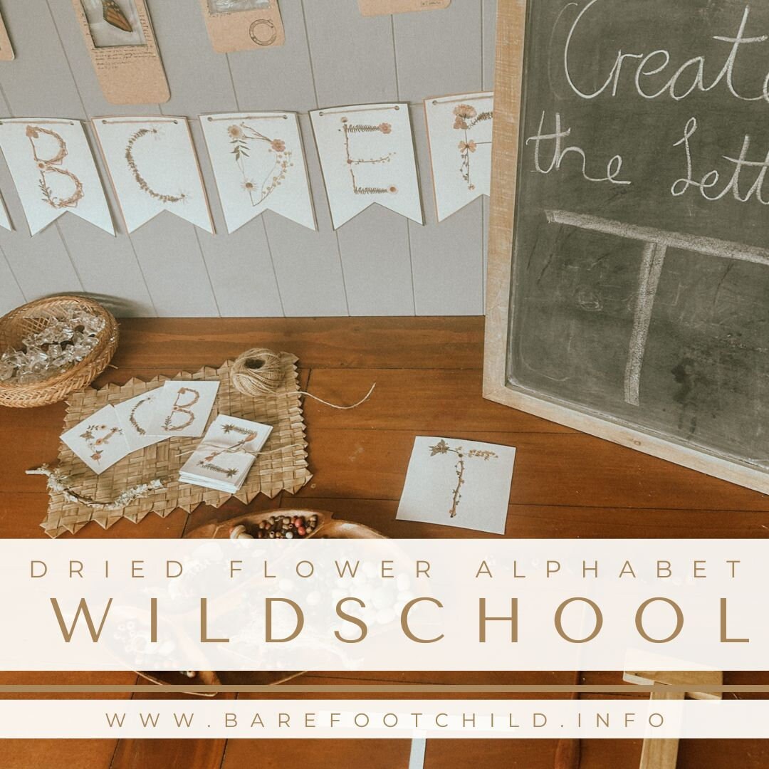 Handmade Wild-school ALPHABET FLASHCARDS & Bunting + Poster - Etsy