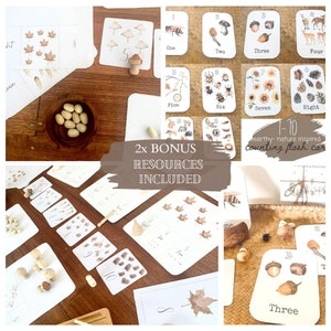 Morning Basket BUNDLE - Nature Inspired - Etsy