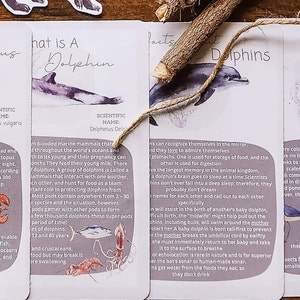 SEA Animal Mega Bundle - MULTI AGE Pack - Etsy