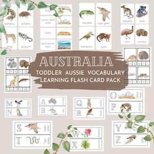 AUSTRALIA Flashcards |VOCABULARY - Ausisie Native Animal | Morning ...