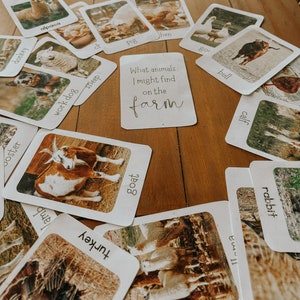 REGGIO Inspired FARM ANIMAL Vocabulary Flashcards- Montessori - Early ...
