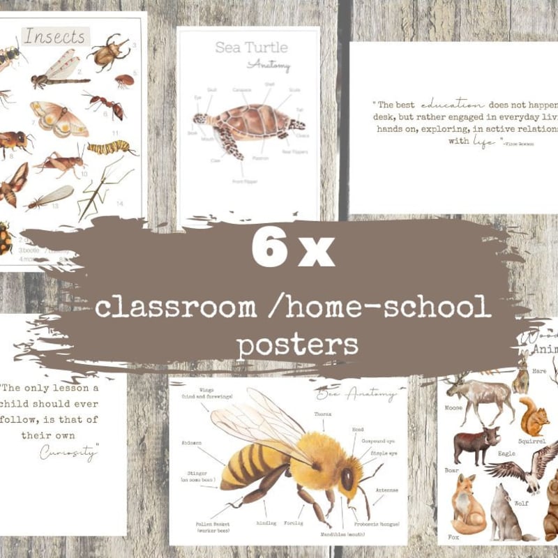 Boho Classroom Decor - Etsy