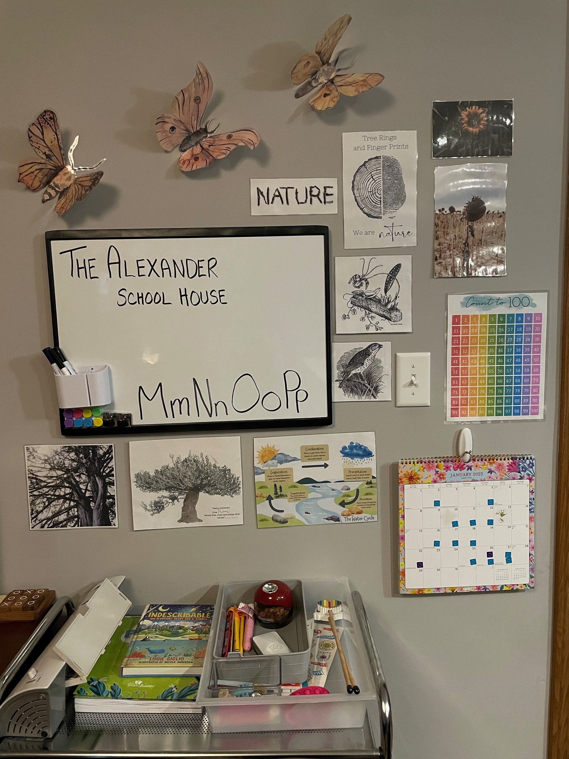 6x Jumbo Moth & Butterfly Props | Add Ons to Your Butterfly or Moth ...