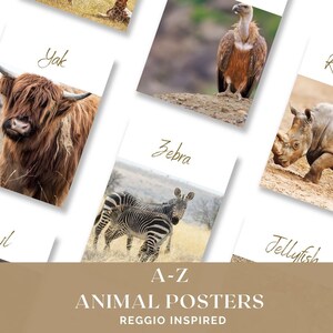 A-z Animal Posters - Etsy