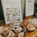 Bundle of Bundles - A Nature Inspired Educational Bundle, Reggio ...