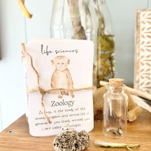 Science Flash Cards - Etsy