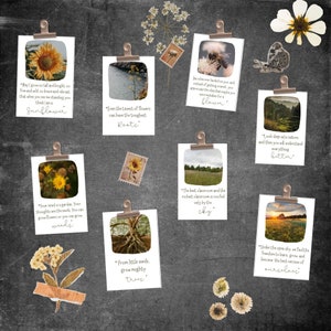 Reggio Inspired Mega Bundle VOL2 | Nature Classroom|14 Sets - Etsy