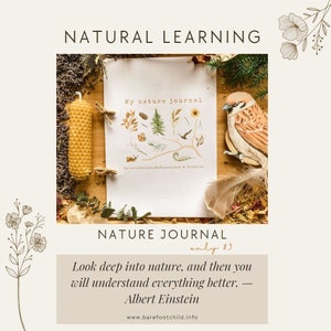 Nature Learning Unit BUNDLE , Wholesome Homeschool, Classroom Decor, - Etsy