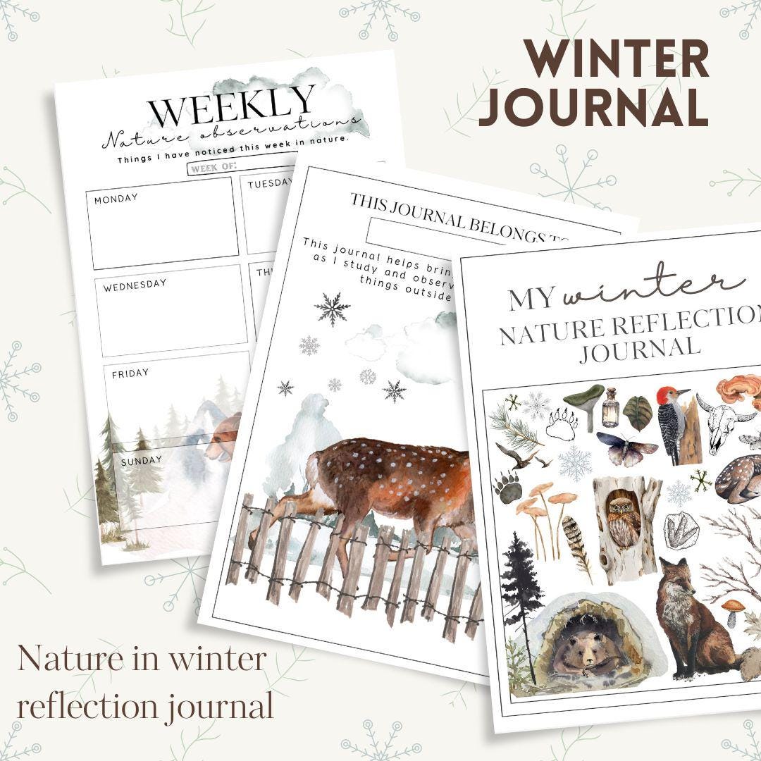WINTER Nature Journal Plus Ice & Snow Study - Etsy