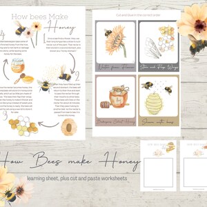 Natural Bee Study Printable Pack of 12 - Etsy