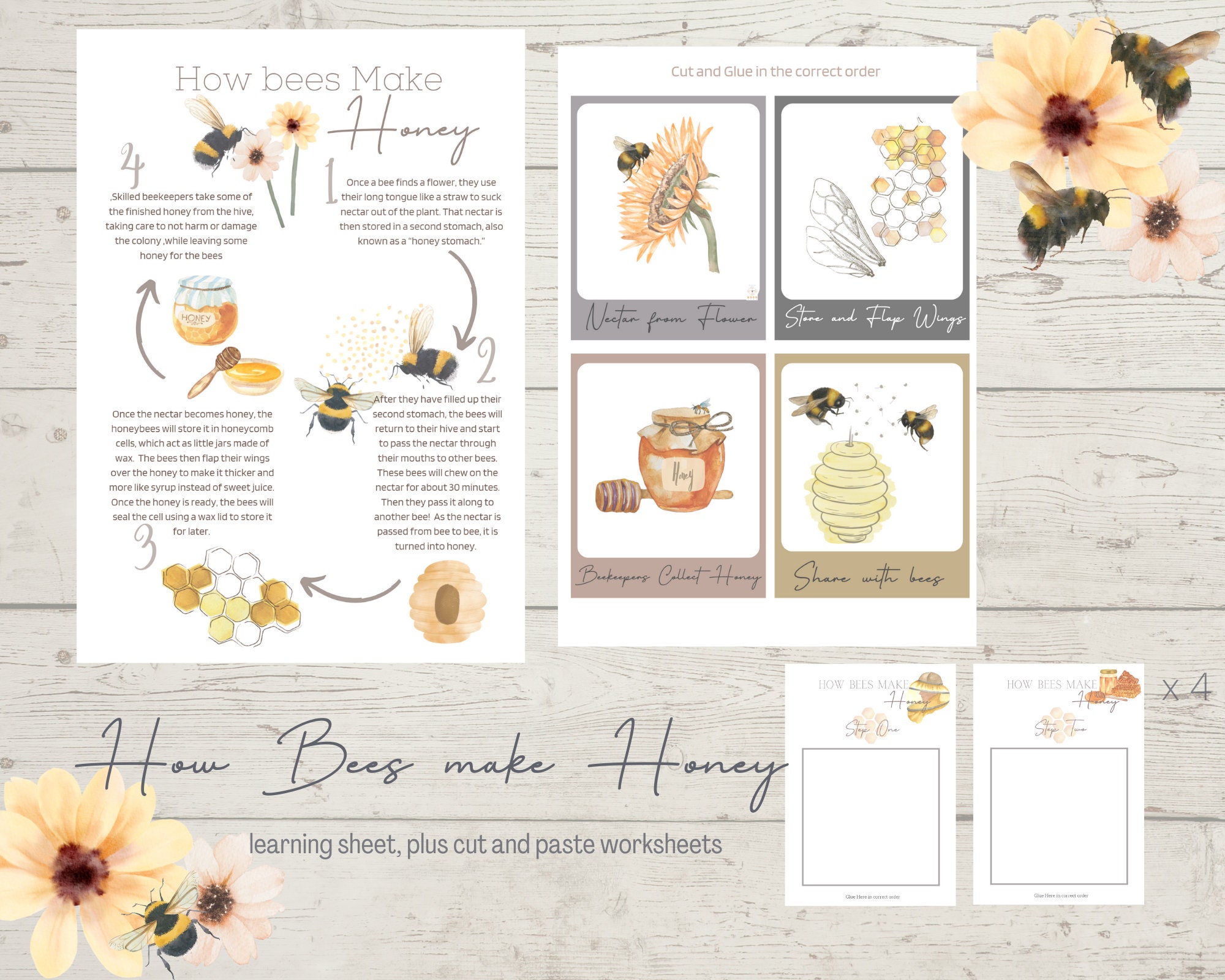Natural Bee Study Printable Pack of 12 - Etsy