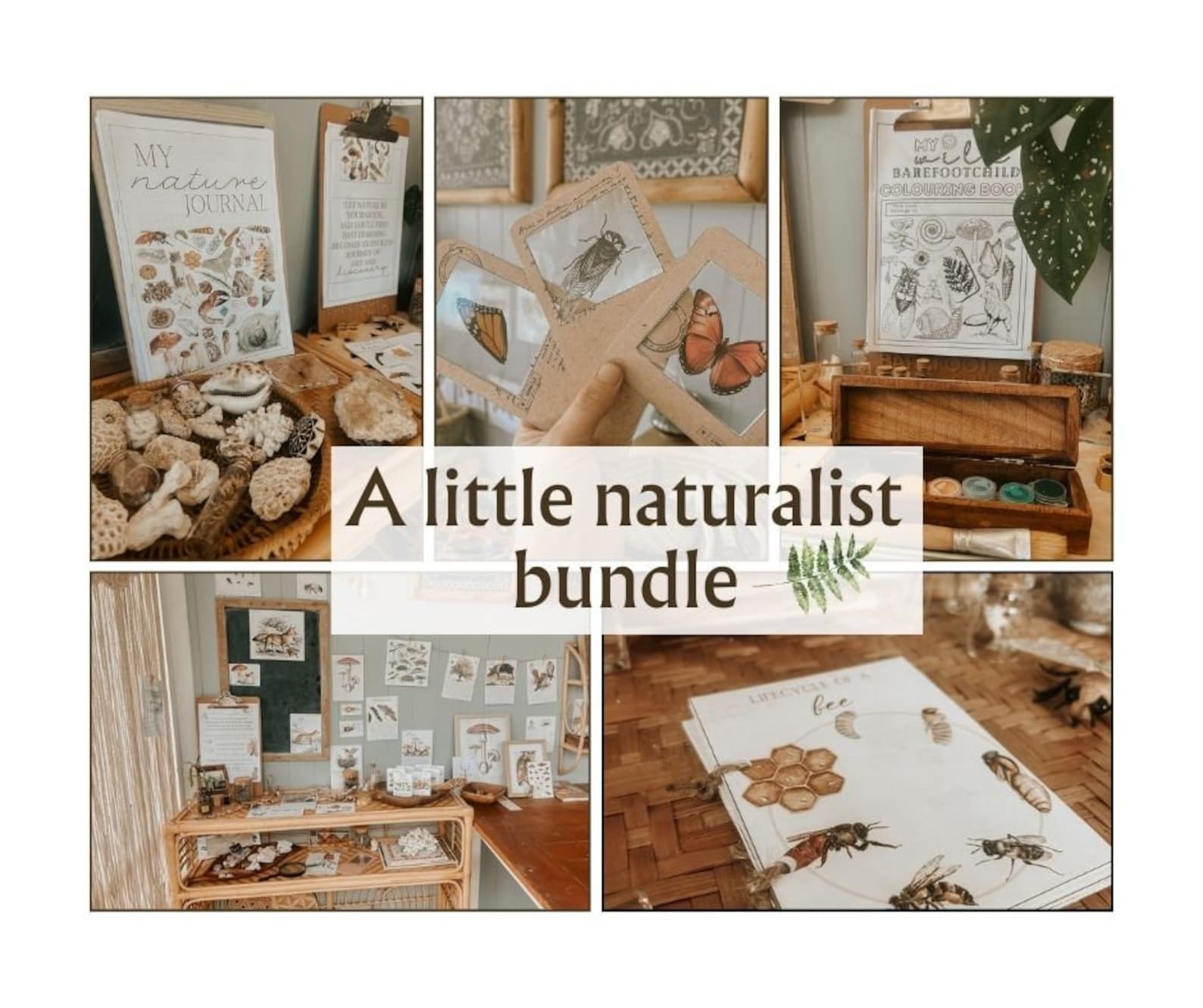 Bundle of Bundles - A Nature Inspired Educational Bundle, Reggio ...