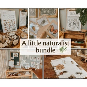 Bundle of Bundles - A Nature Inspired Educational Bundle, Reggio ...