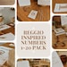 Reggio Inspired Mega Bundle VOL2 | Nature Classroom|14 Sets - Etsy