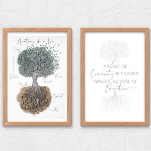 Charlotte Mason ANATOMY OF A TREE Poster -forest School Inspired - Etsy
