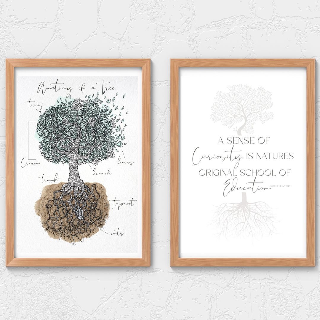 Charlotte Mason ANATOMY OF A TREE Poster forest School Inspired - Etsy