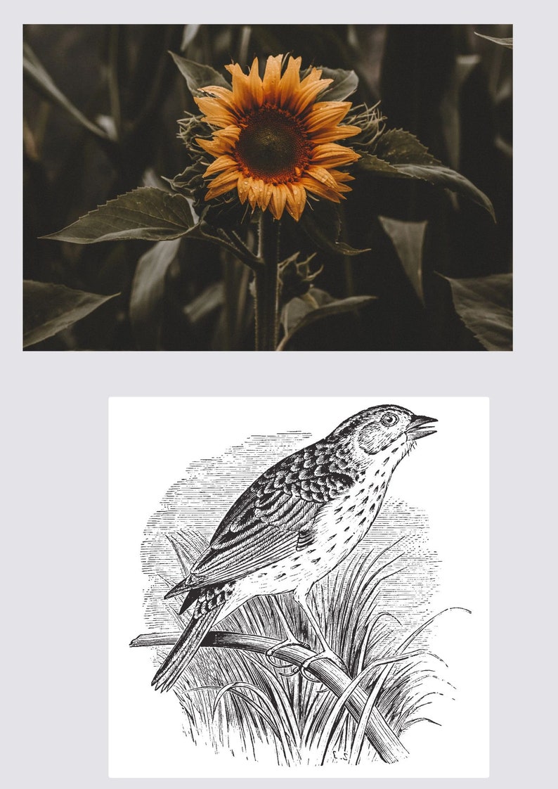 NATURE Inspired Classroom POSTERS BUNDLE Reggio Emillia - Etsy