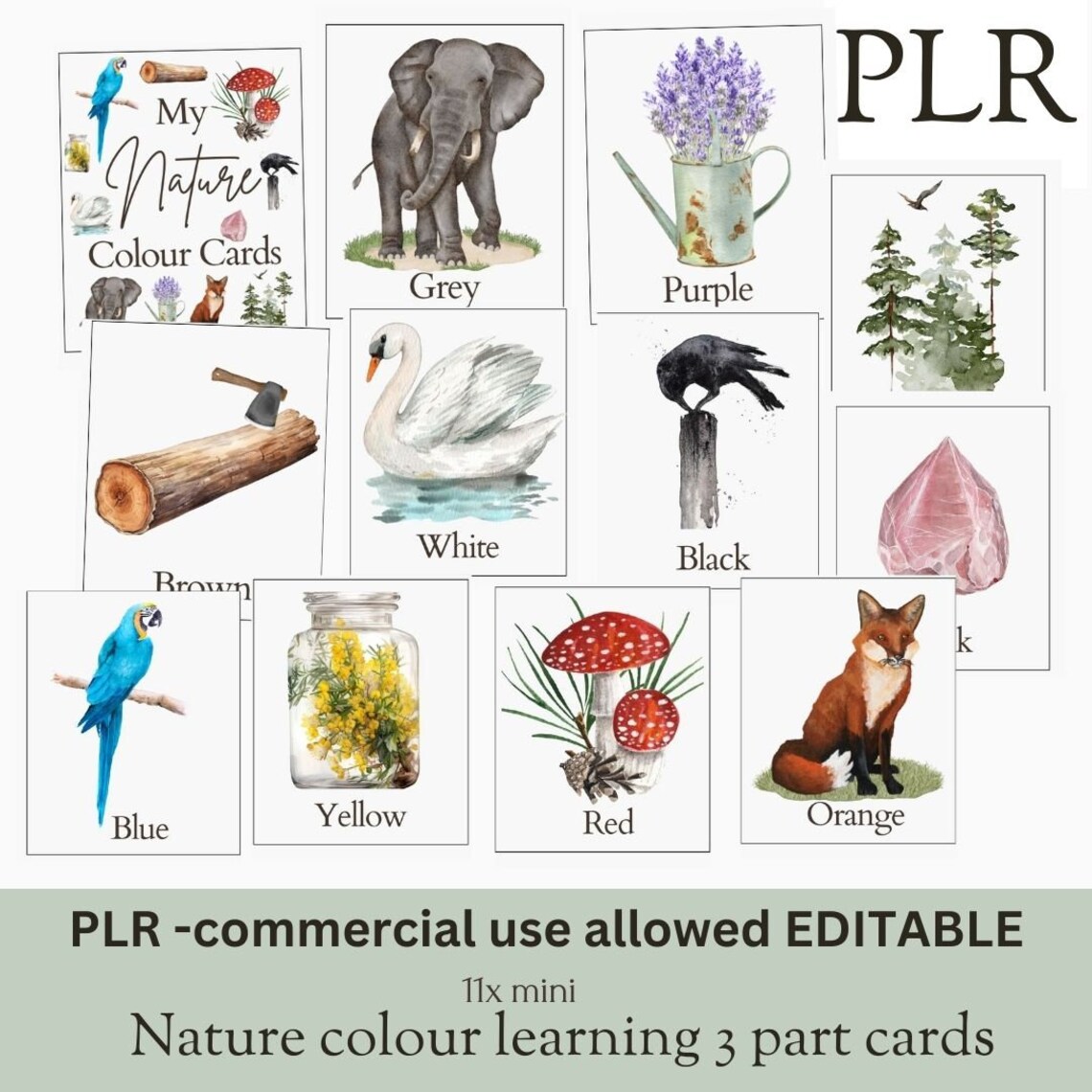 PLR - 11x Common NATURE Inspired Colour 3-part Flashcards - Commercial ...
