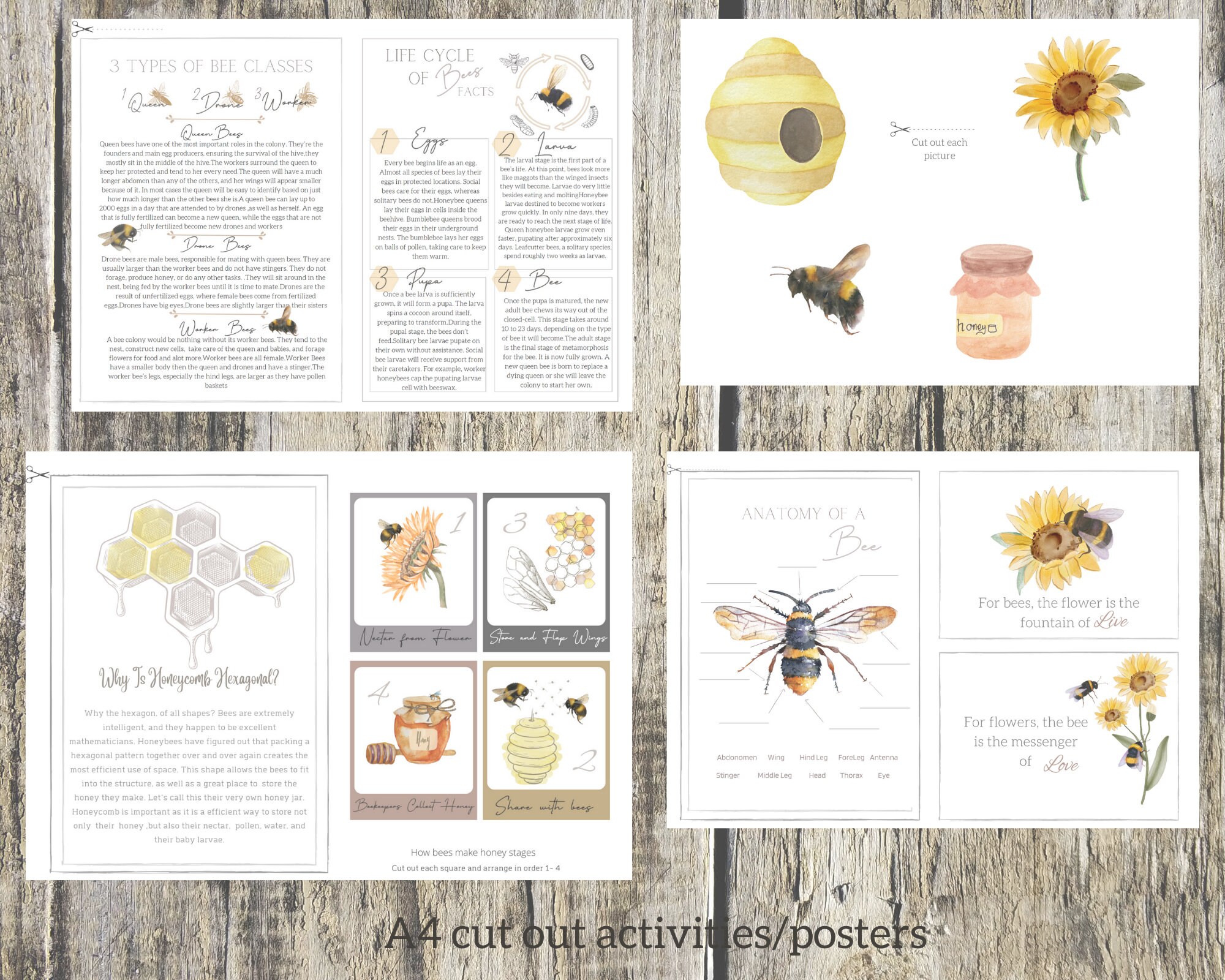 Mini Nature BEE UNIT - Etsy