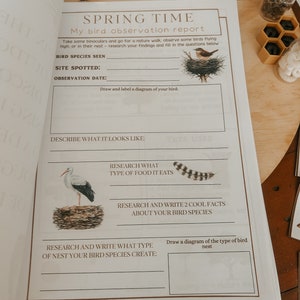 SPRING Study and Journal Pack- 50 Pages- Nature Inspired - Etsy Canada