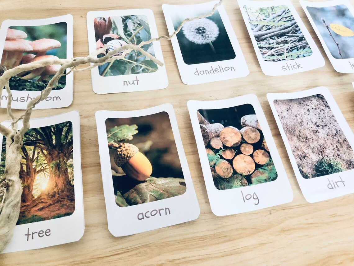 Reggio Emilia Inspired NATURE FLASH CARDS Real Life Nature - Etsy