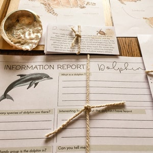 SEA Animal Mega Bundle - MULTI AGE Pack - Etsy