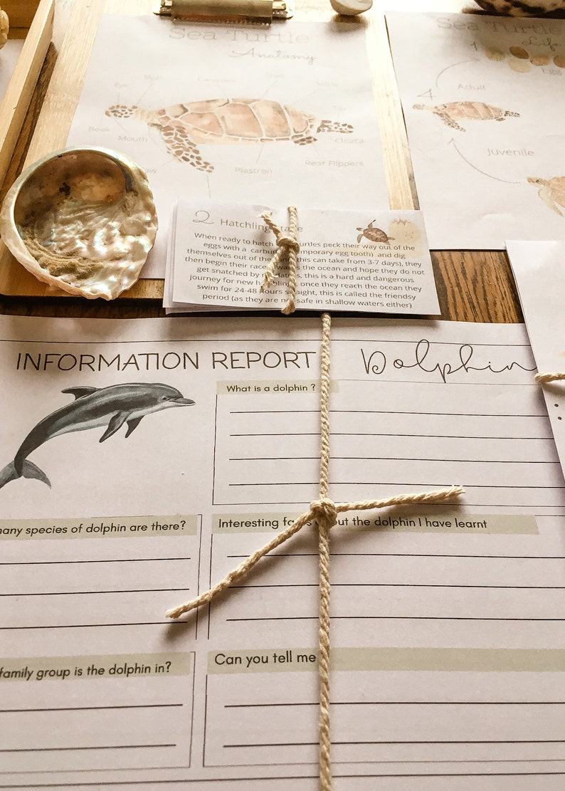 SEA Animal Mega Bundle - MULTI AGE Pack - Etsy