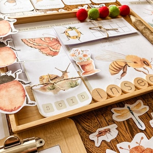 Commercial Use , Kids Early Learning Insect Pack , Resale Plr - Etsy