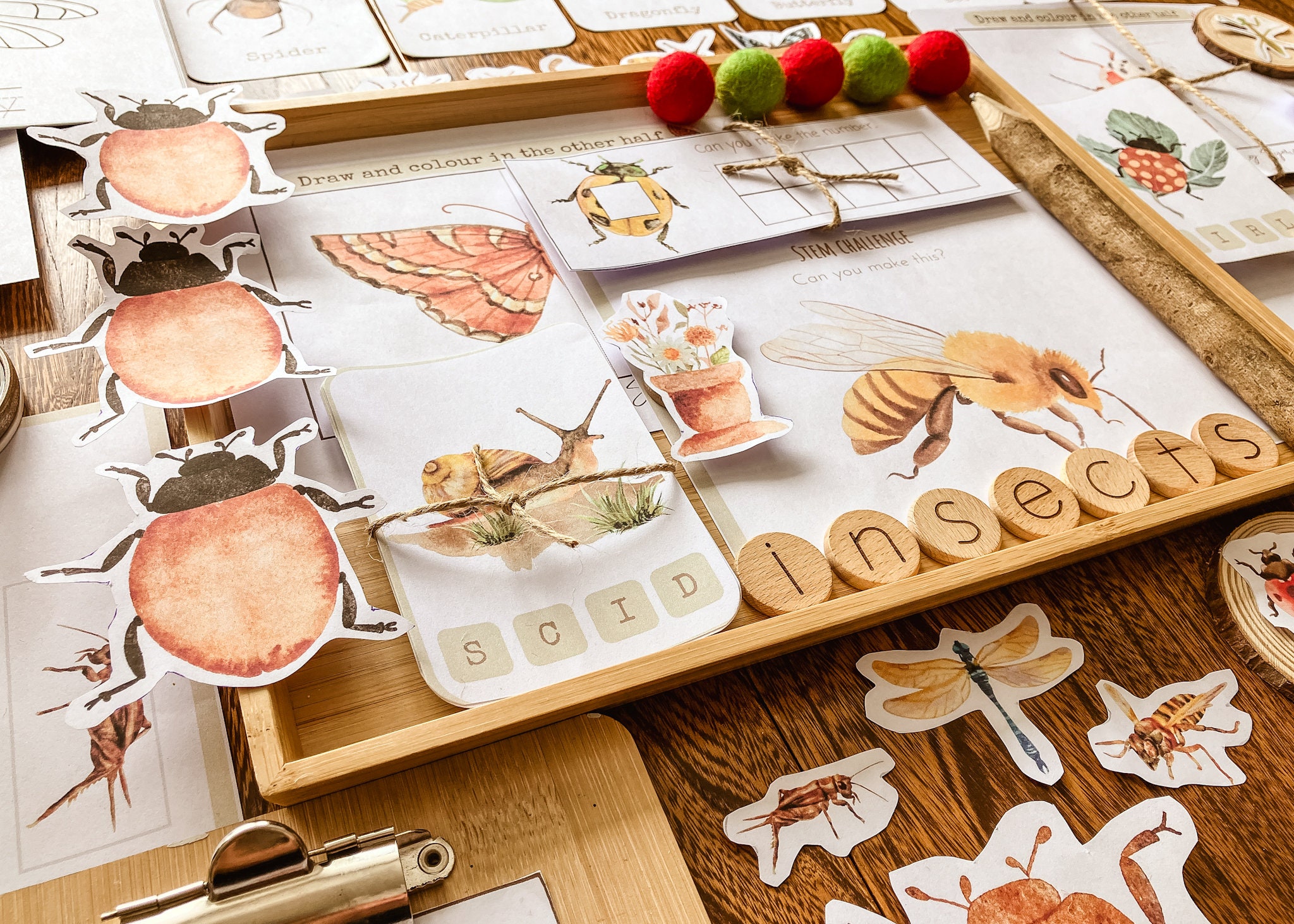 Commercial Use , Kids Early Learning Insect Pack , Resale Plr - Etsy