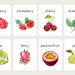 24x Watercolour FRUIT Flashcards-mini | VOCABULARY PRESCHOOL - Etsy