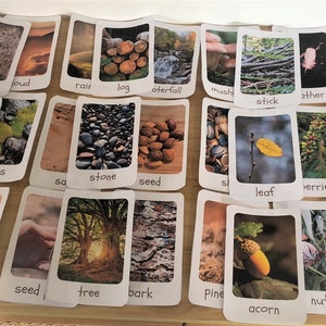 Reggio Emilia Inspired NATURE FLASH CARDS- Real Life ~ Nature Learning ...