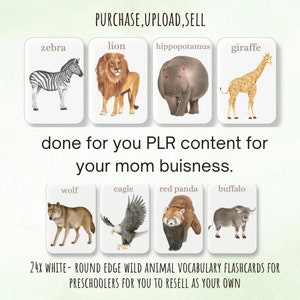 PLR- 24 Wild Animal Flashcards - Done for You - Commercial Use - Etsy
