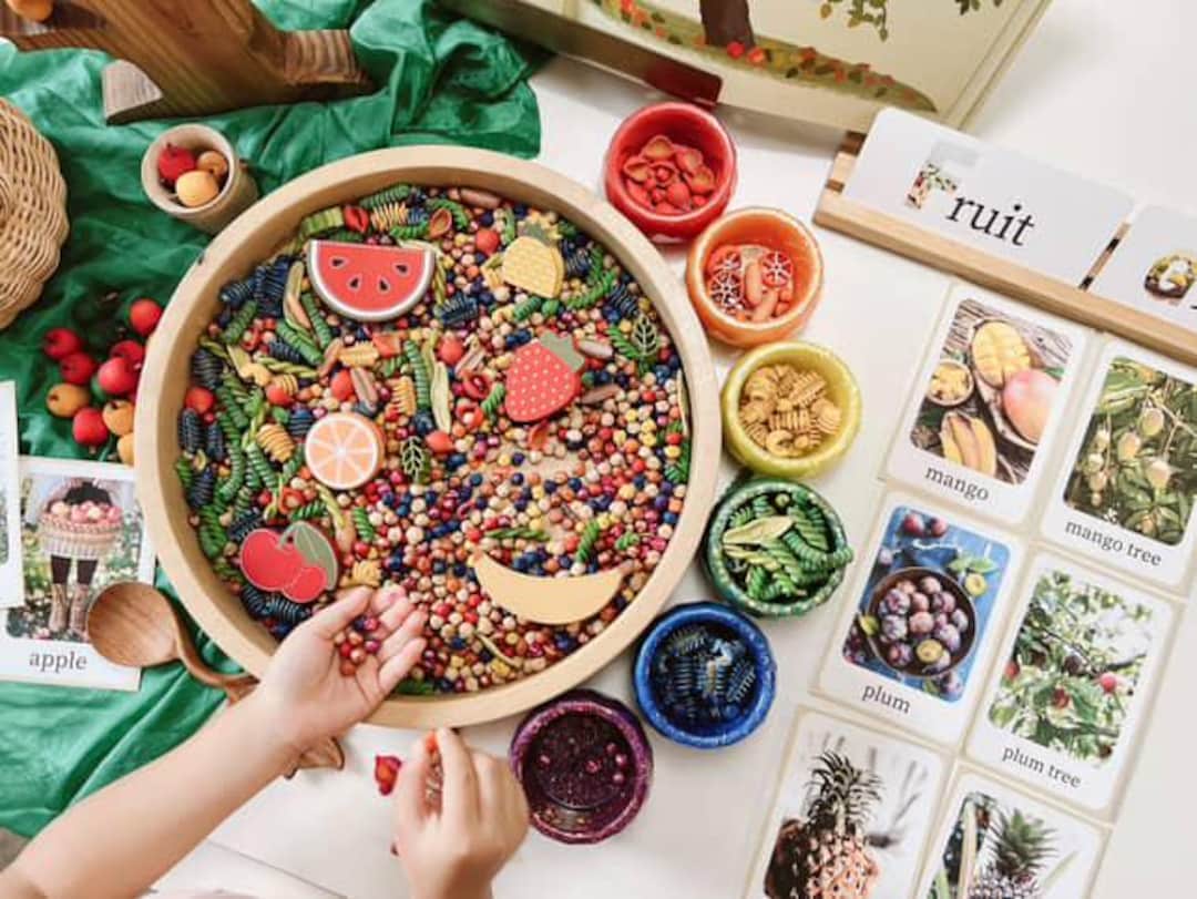 Reggio - Inspired FRUIT and Its Trees FLASH CARDS - Etsy