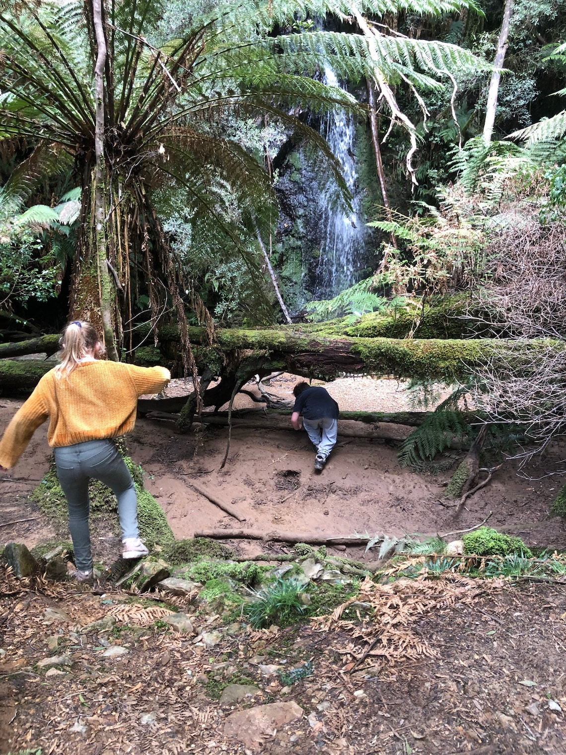 Reggio Emilia Inspired NATURE FLASH CARDS Real Life Nature - Etsy