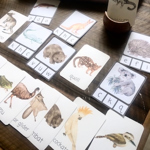 AUSTRALIA Flashcards |VOCABULARY - Ausisie Native Animal | Morning ...