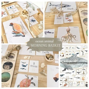 Morning Basket BUNDLE - Nature Inspired - Etsy