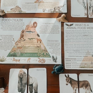 Animal Classification Mini Study Unit - Etsy