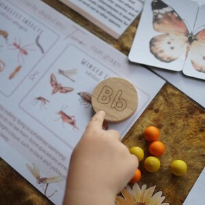 Mini Insect Unit - Nature Study - Etsy