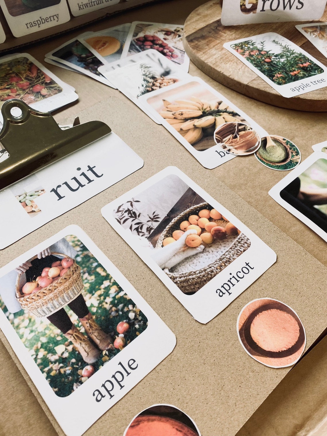 Reggio Inspired FRUIT and Its Trees FLASH CARDS - Etsy