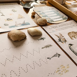 SEA Animal Mega Bundle - MULTI AGE Pack - Etsy