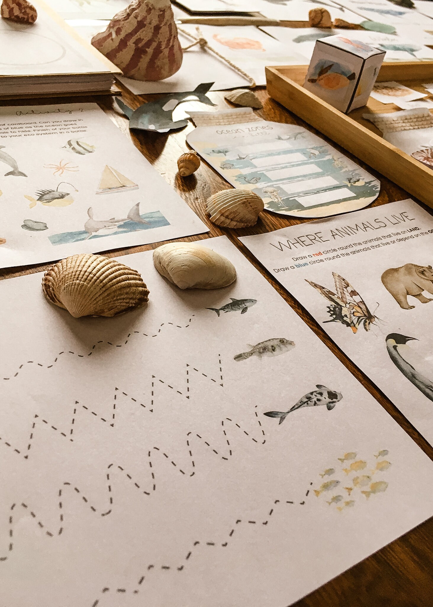 SEA Animal Mega Bundle - MULTI AGE Pack - Etsy