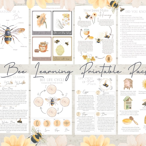 Natural Bee Study Printable Pack of 12 - Etsy