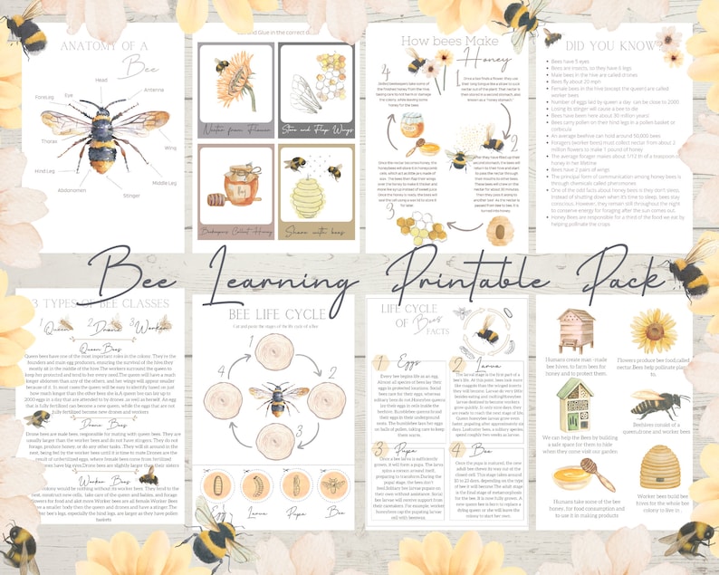 Natural Bee Study Printable Pack of 12 - Etsy