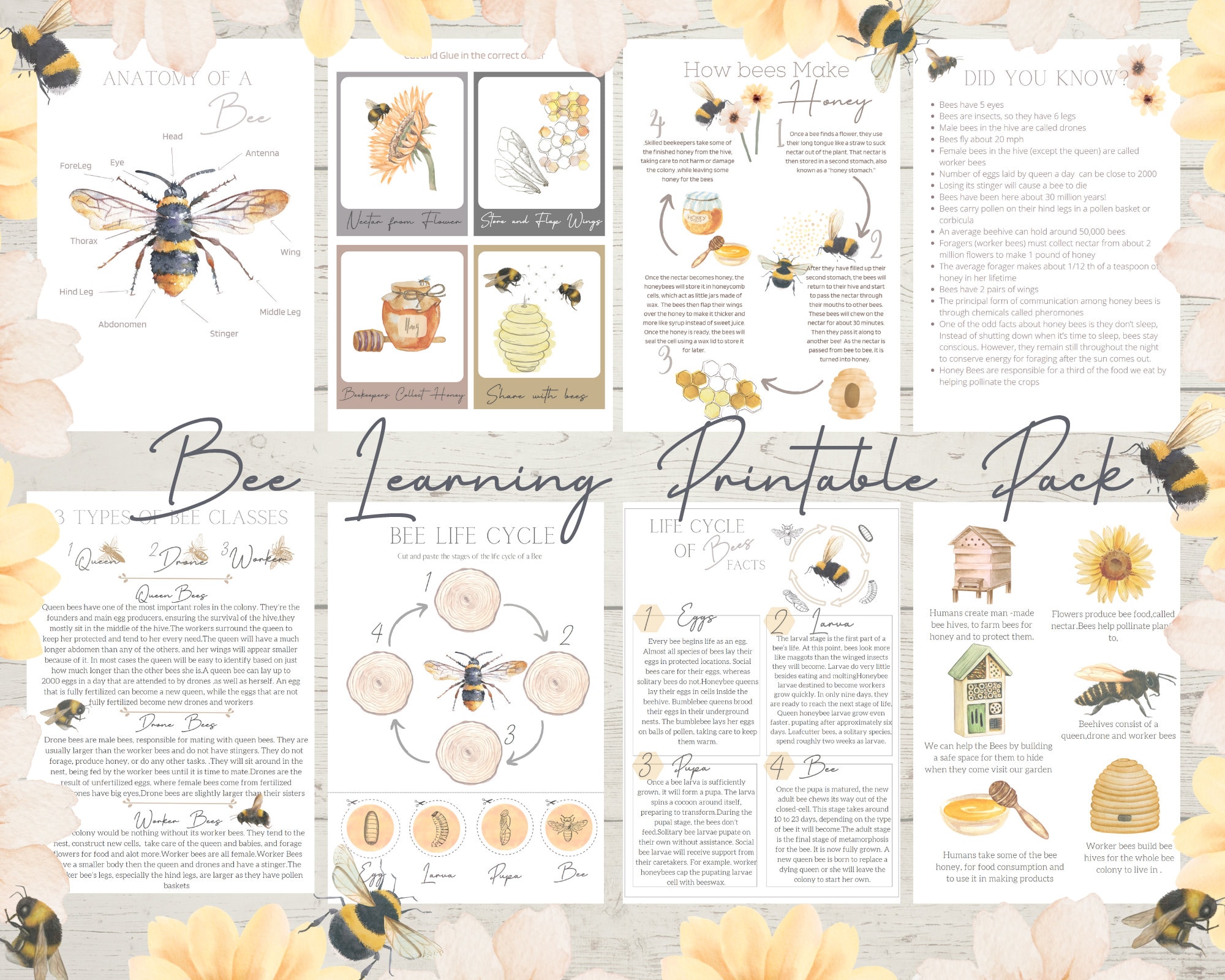 Natural Bee Study Printable Pack of 12 - Etsy