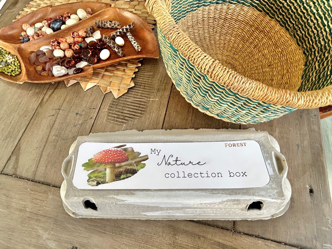 Nature Hunt Egg Carton -forest School , Bush School , Nature School - Etsy