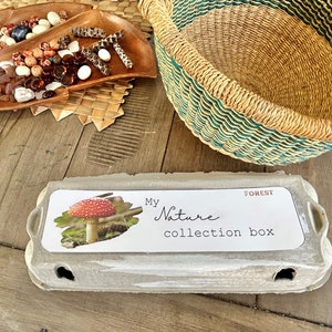 Nature Hunt Egg Carton -forest School , Bush School , Nature School - Etsy